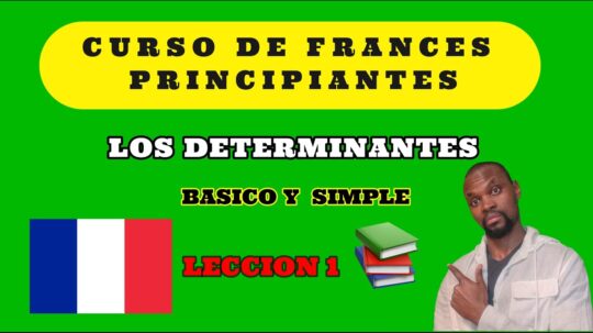 Los Determinantes en Francés: Unidad Sintáctica y Diversidad ...